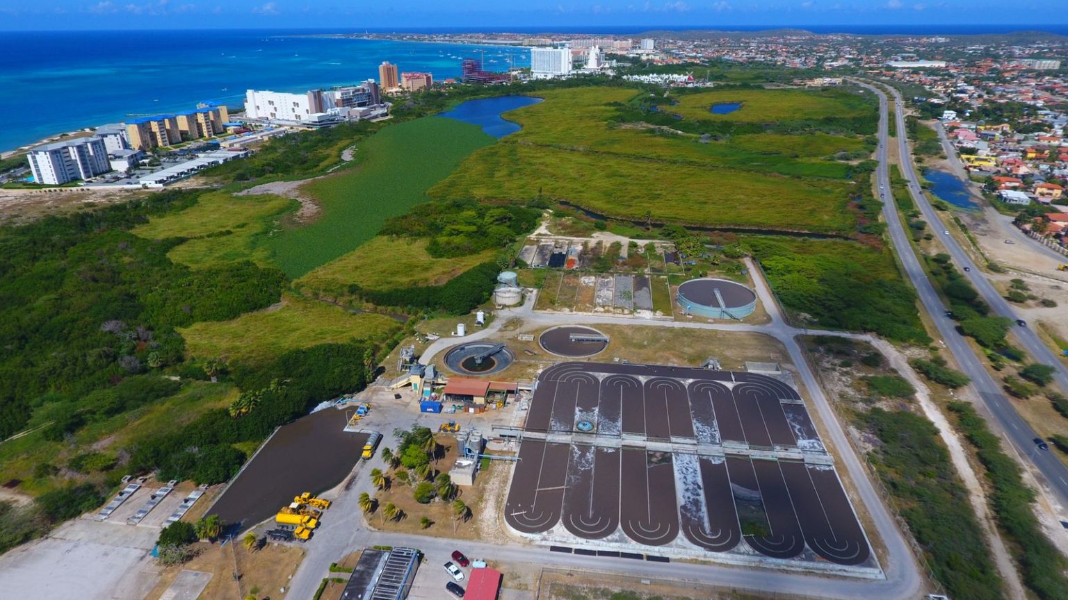 DOW informa: Rwzi bubali y bubali plas. - Solo Di Pueblo Noticia Aruba